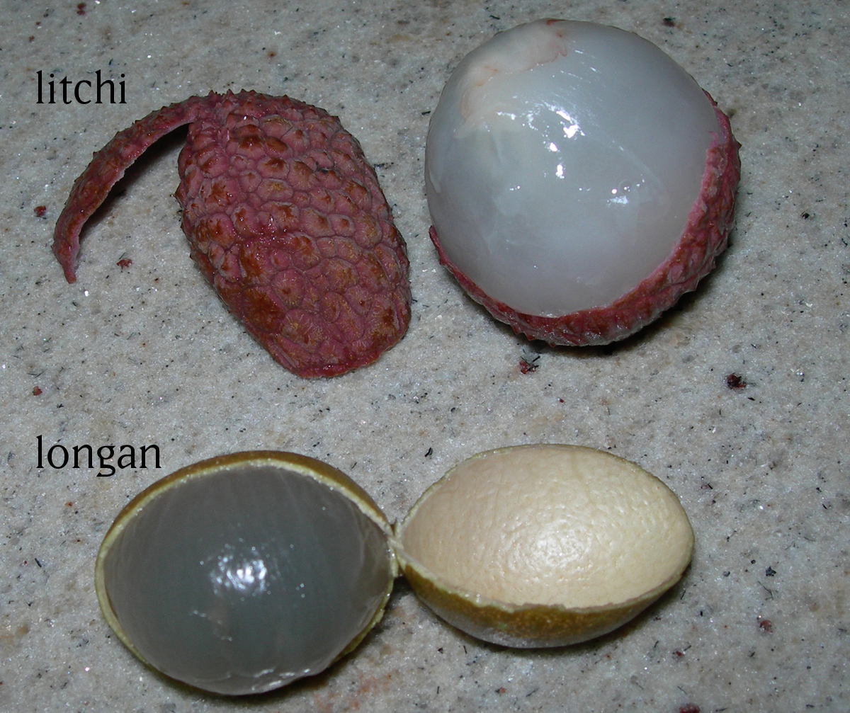 Litchis, Longans, and Loquats
